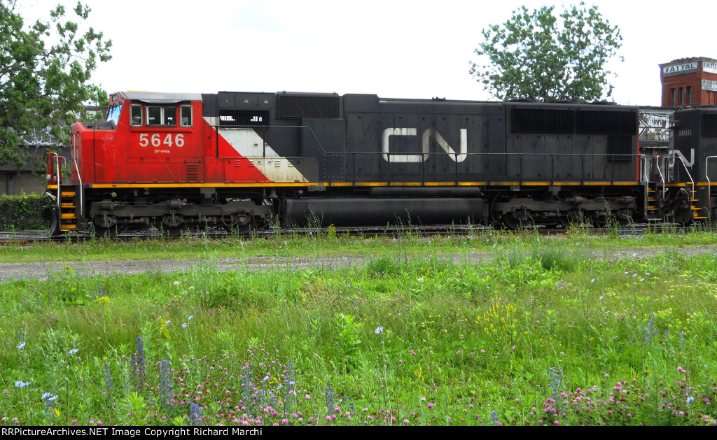 CN 5646